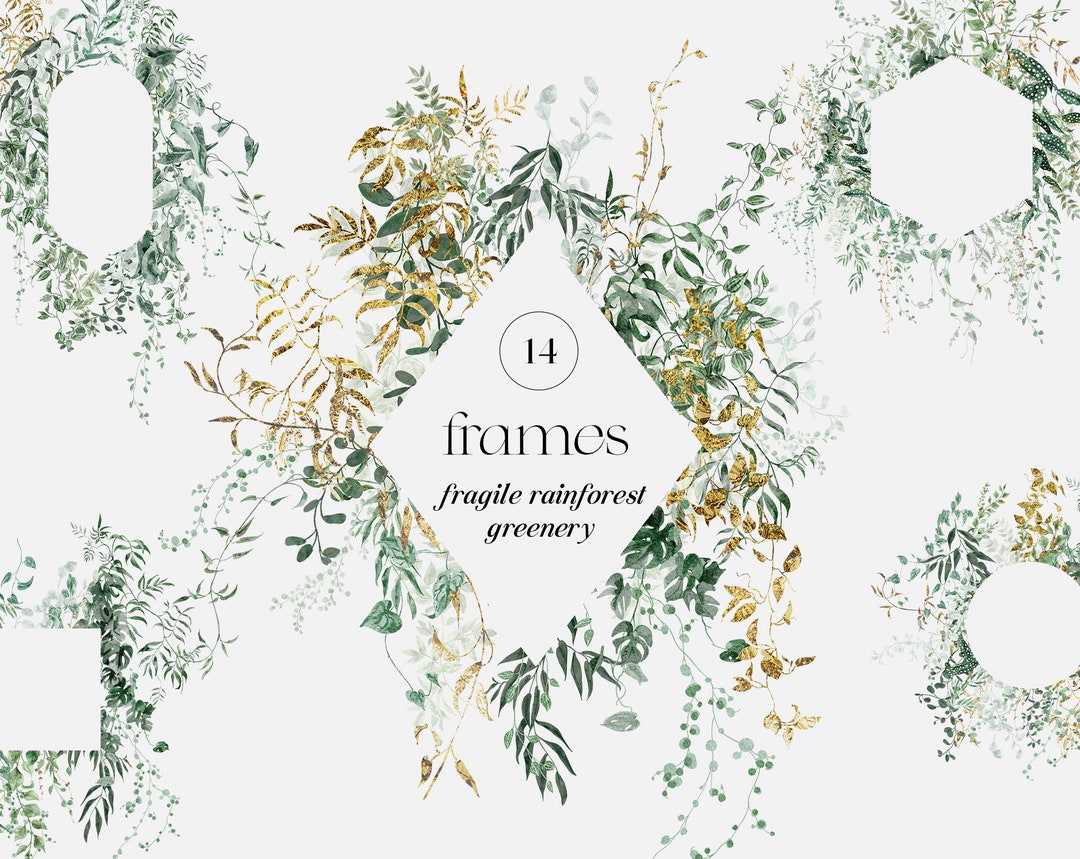 Watercolor Greenery Clipart, Delicate Foliage Frames, Wild Rainforest ...