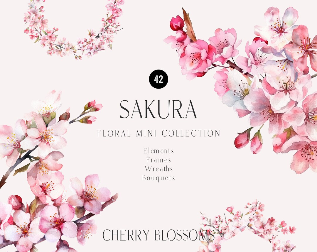 Sakura Watercolor Floral Clipart, Delicate Cherry Blossom Elements ...