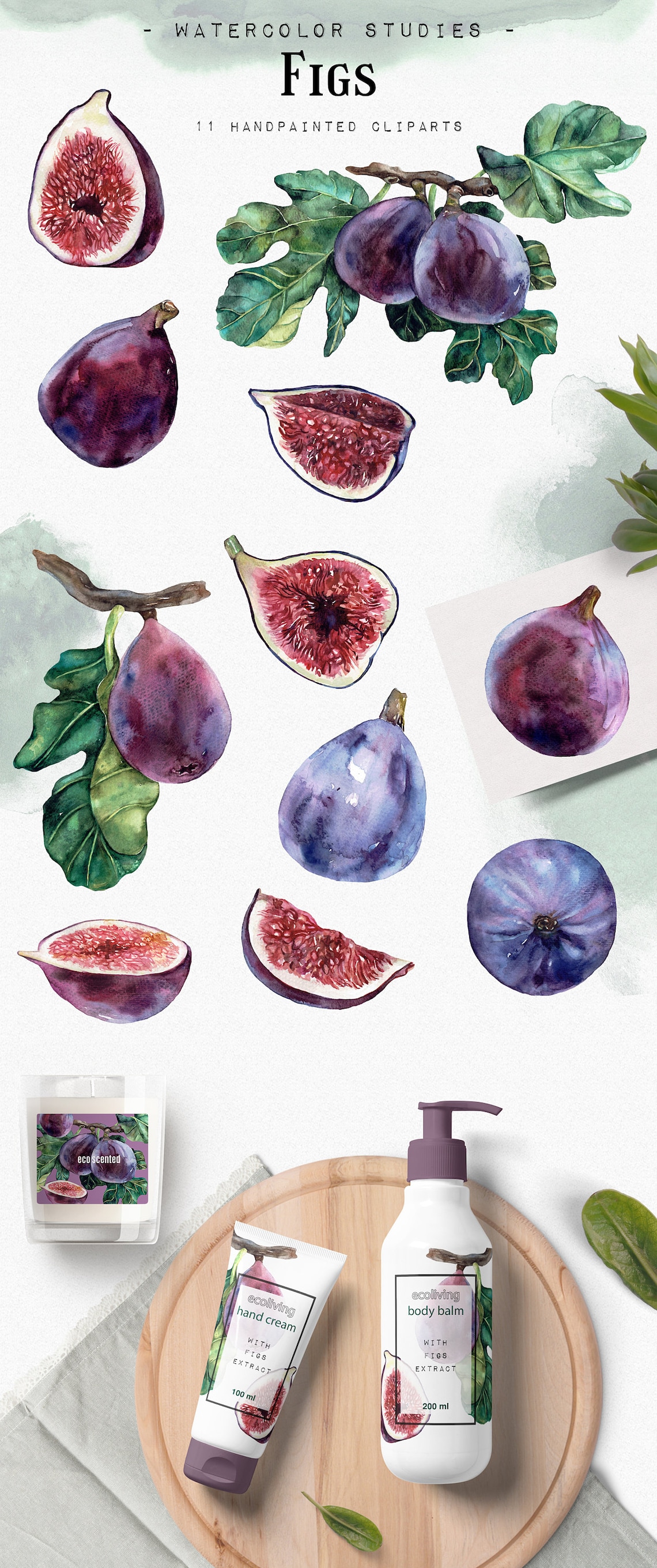 Figs Watercolor Studies Fruits Watercolor Clipart Vegan Food | Etsy