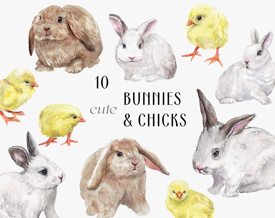 SPRING Essentials - Easter Bunnies Chicks, Rabbit Painting, Cute ...