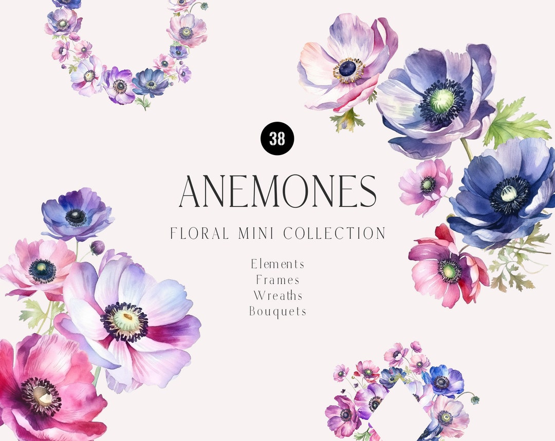 Watercolor Anemones Clipart, Purple Flowers, Dreamy Anemone PNG, Garden ...