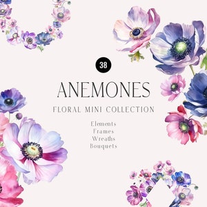 Watercolor Anemones Clipart Purple Flowers Dreamy Anemone - Etsy