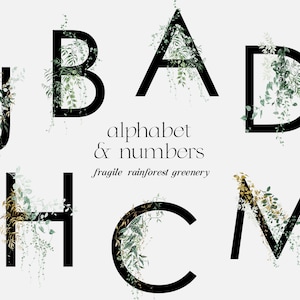 Watercolor Greenery Clipart, Delicate Foliage Letters, Wild Rainforest ...