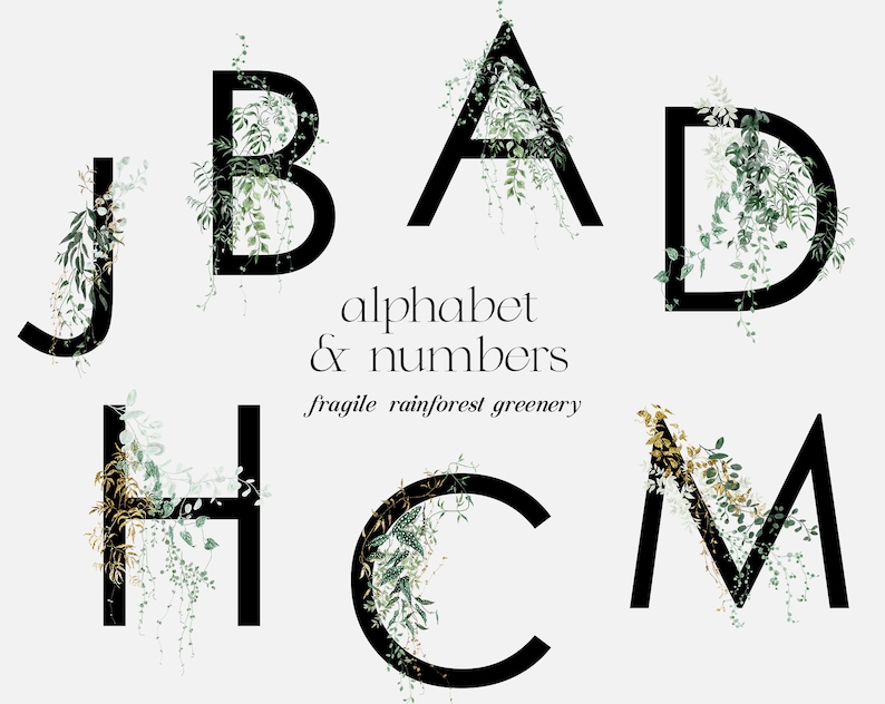 Watercolor Greenery Clipart, Delicate Foliage Letters, Wild Rainforest ...