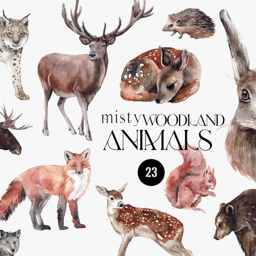 Watercolor Forest Animal Clipart PNG Watercolor Forest - Etsy