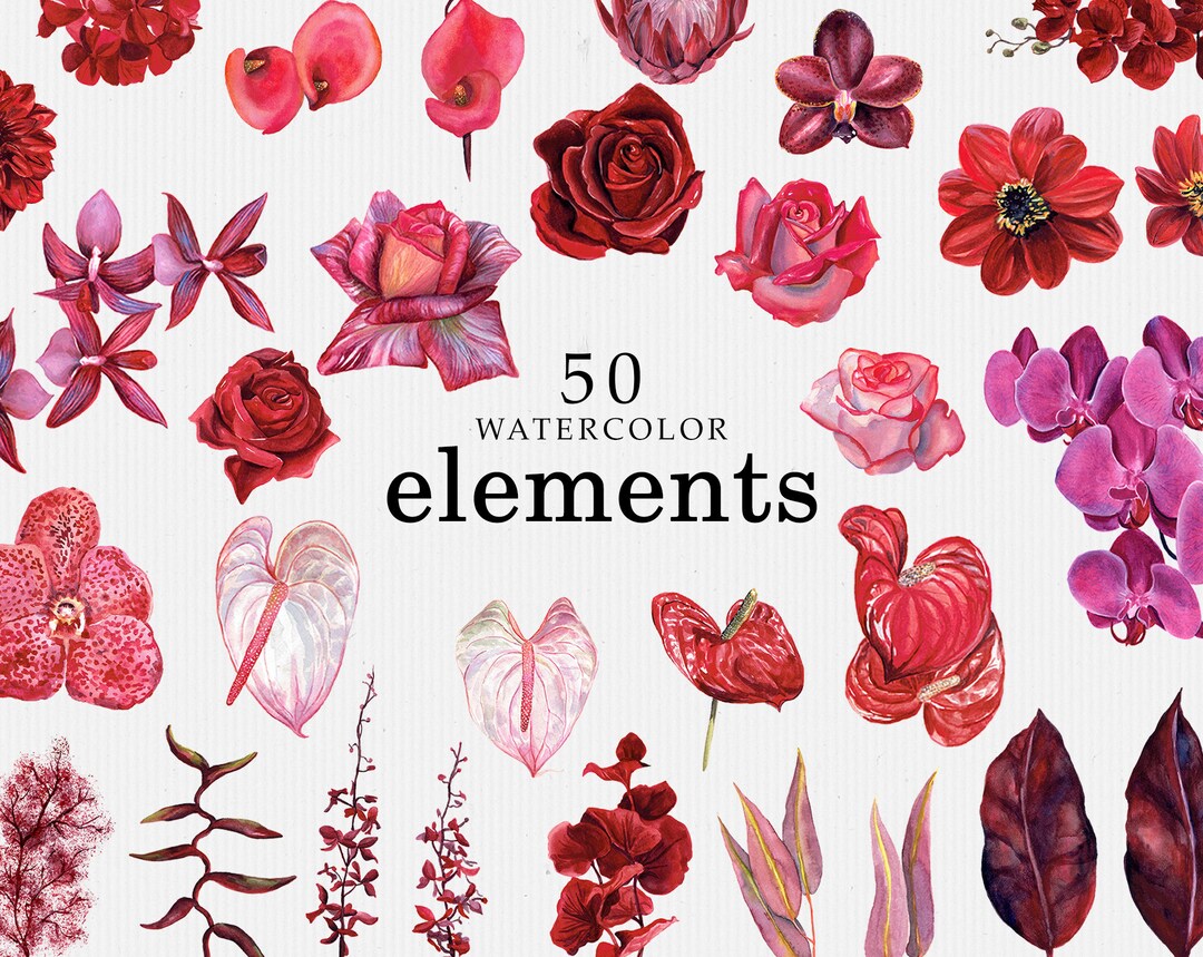 Crimson Floral Watercolor Clipart, Rose Orchid Watercolor Flowers ...