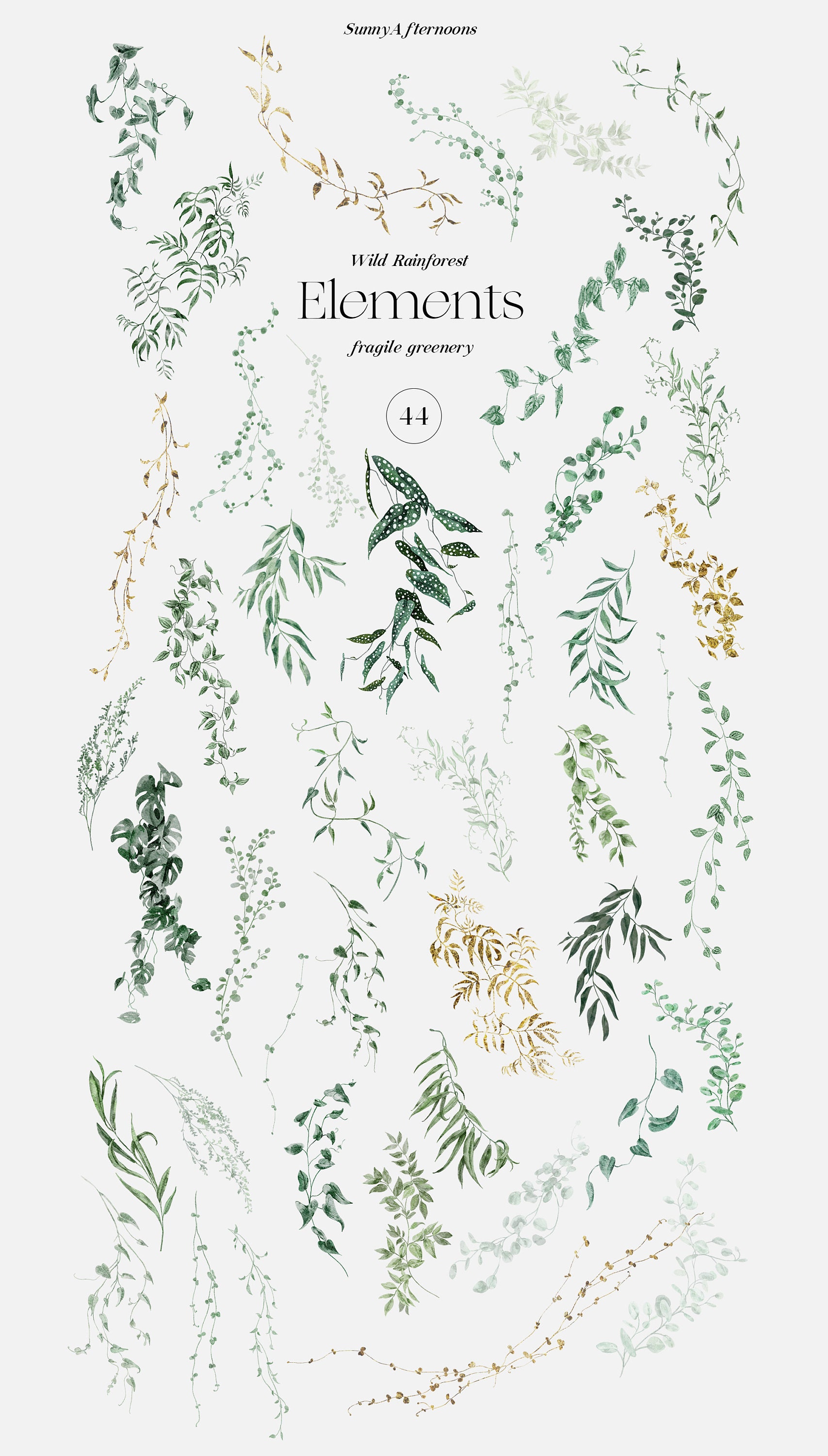 Watercolor Greenery Clipart, Delicate Foliage, Wild Rainforest, Soft ...