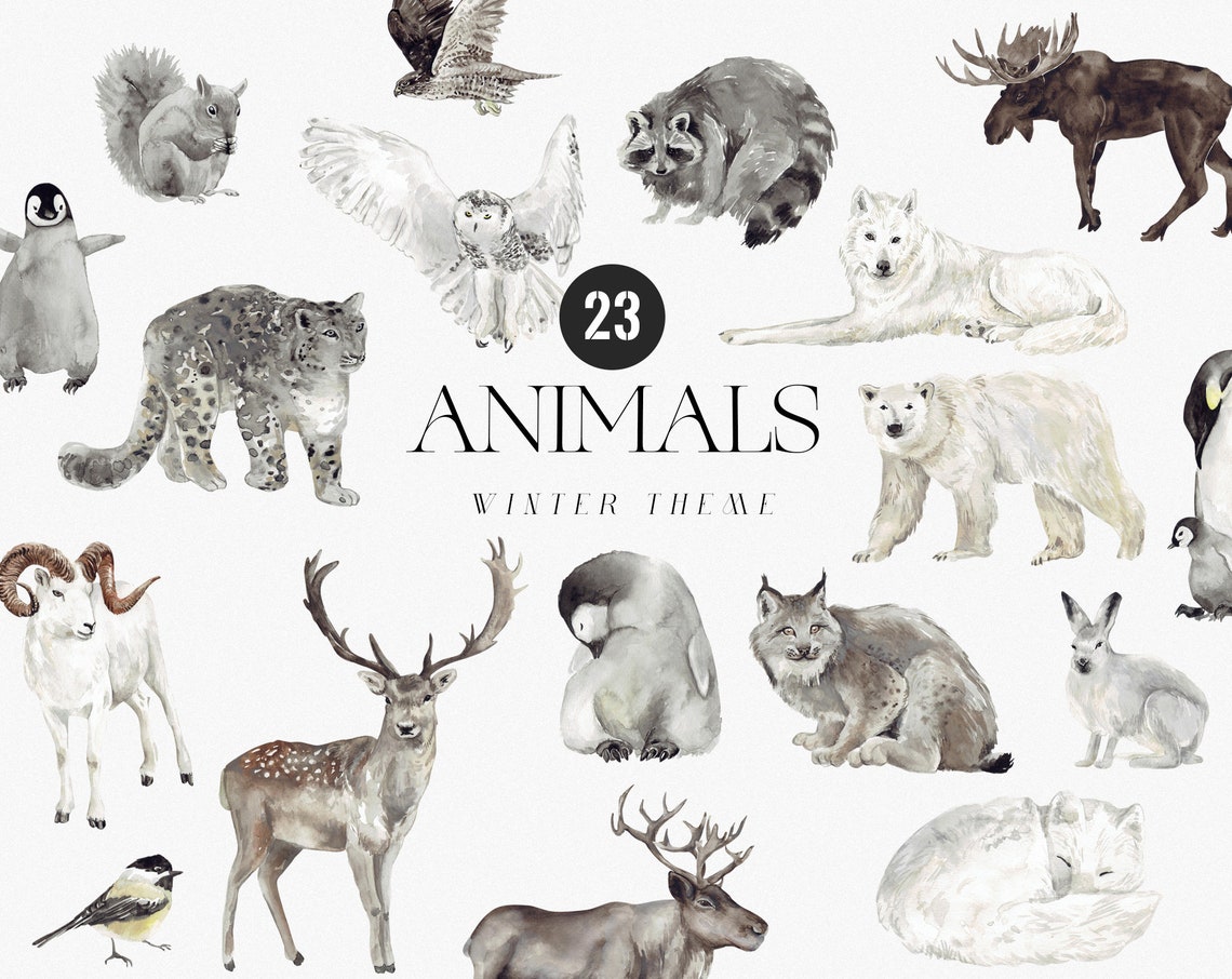 Watercolor Winter Animal Clipart Forest Mountain Christmas - Etsy