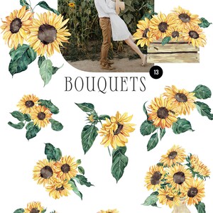 Concept: Sunflower Bouquets Watercolor Clipart, Sunflower Wedding ...