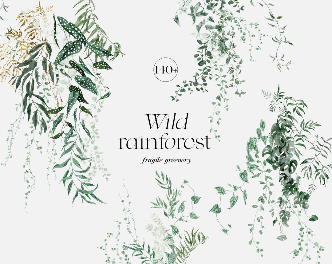 Watercolor Greenery Clipart, Delicate Foliage, Wild Rainforest, Soft ...