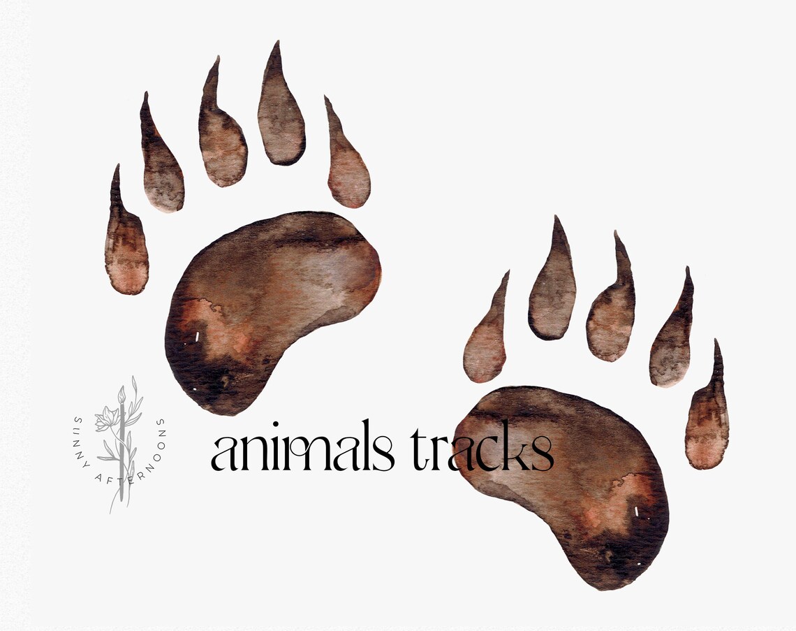 Animals tracks Watercolor clipart forest animal track forest | Etsy