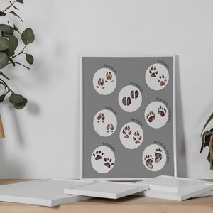 Animals Tracks Watercolor Clipart, Forest Animal Track, Forest Decor ...