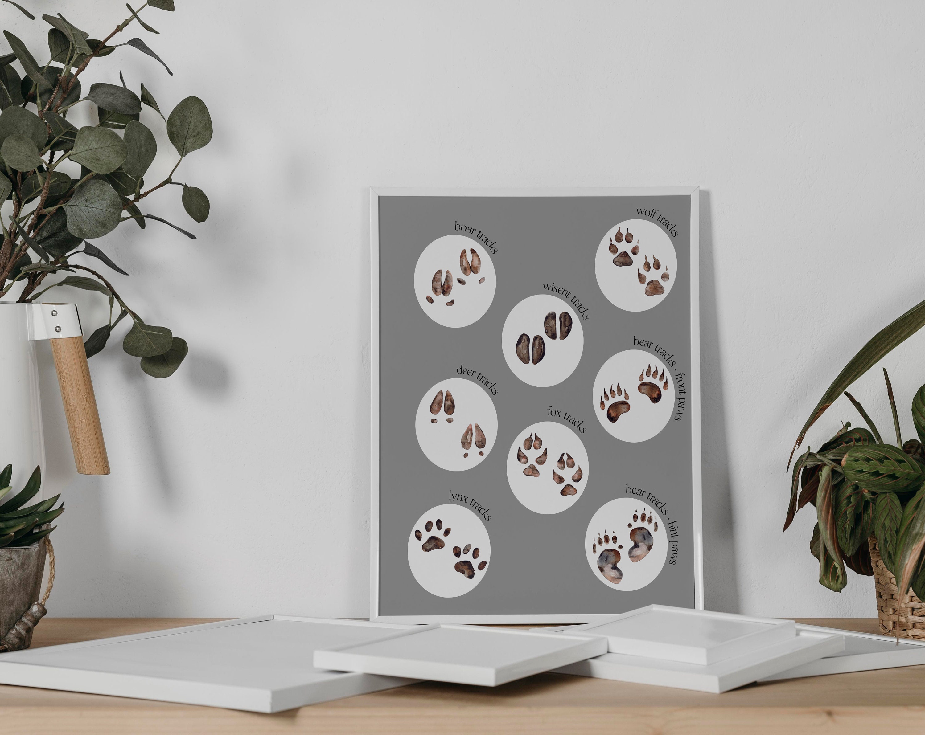 Animals tracks Watercolor clipart forest animal track forest | Etsy