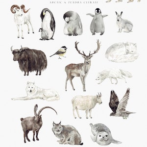 Watercolor Winter Animal Clipart, Forest Mountain Christmas Animals ...