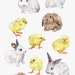 SPRING Essentials - Easter Bunnies Chicks, Rabbit Painting, Cute ...