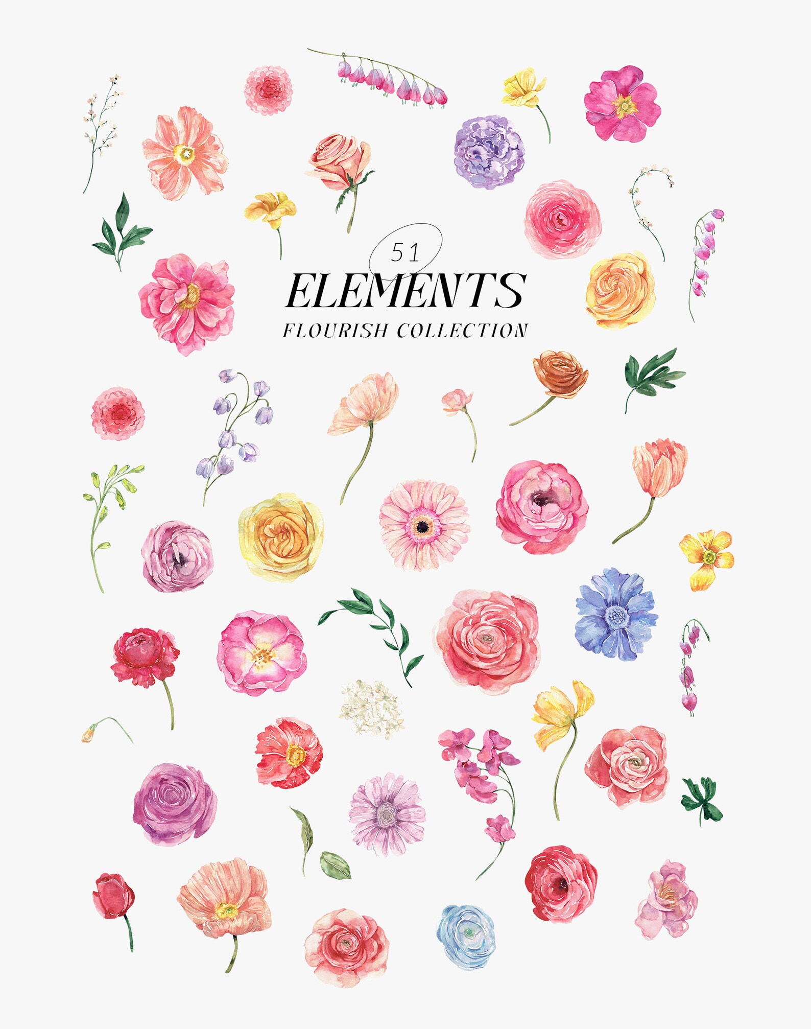 FLOURISH Watercolor Floral Elements DIY, Bright Watercolor Flowers Png ...
