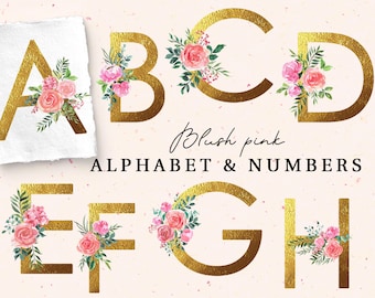 Blush Pink Roses Floral Watercolor Clipart Alphabet Frames | Etsy