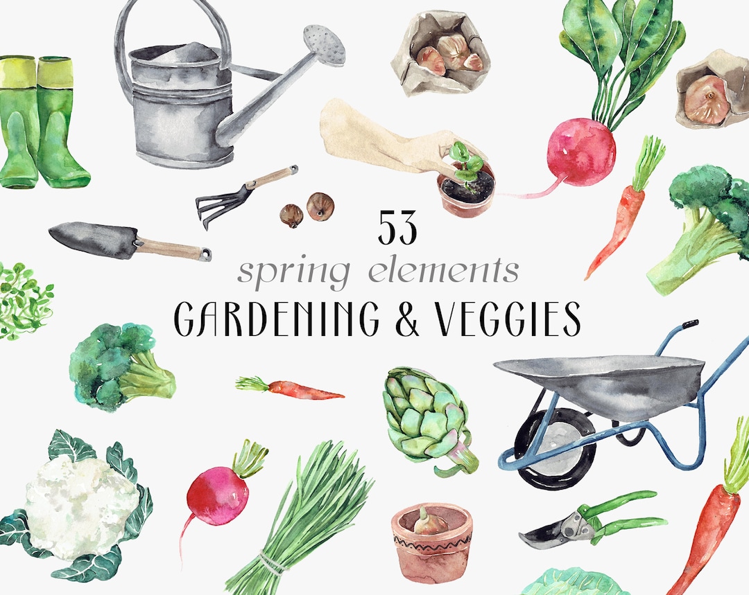 SPRING Essentials Gardening Items, Garden Tools, Plants, Watering Can ...