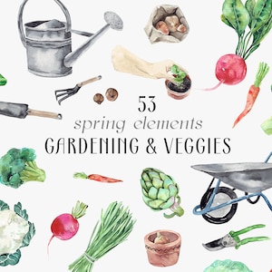 SPRING Essentials Gardening Items, Garden Tools, Plants, Watering Can ...