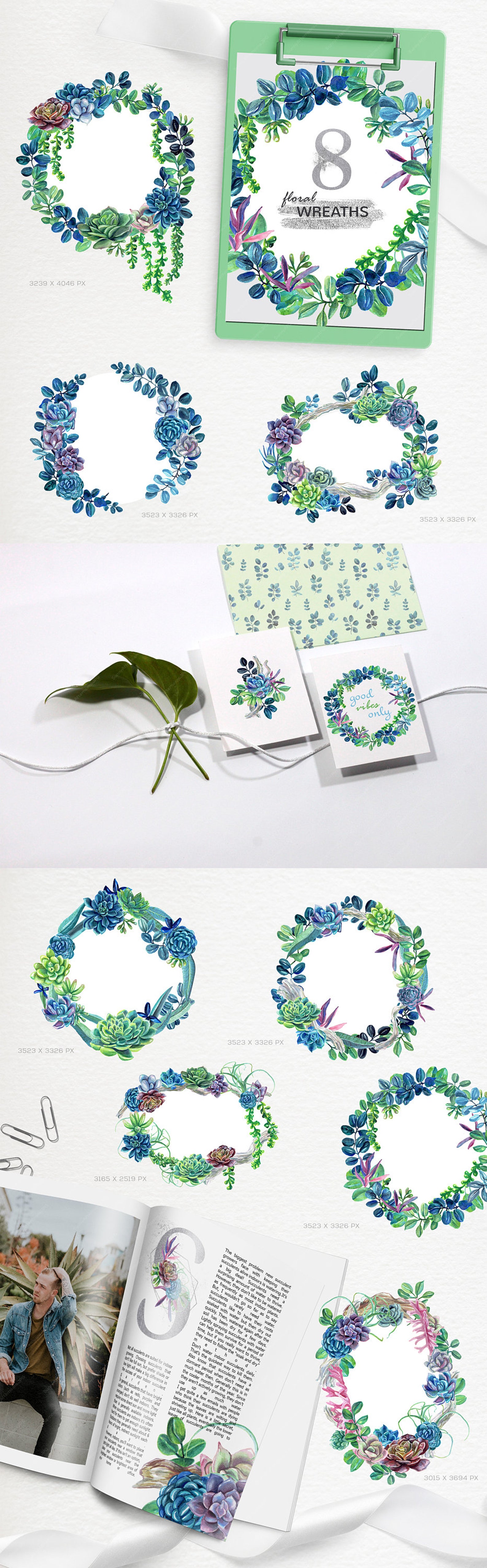 Succulents SET Floral Watercolor Clipart Silver Alphabet and | Etsy