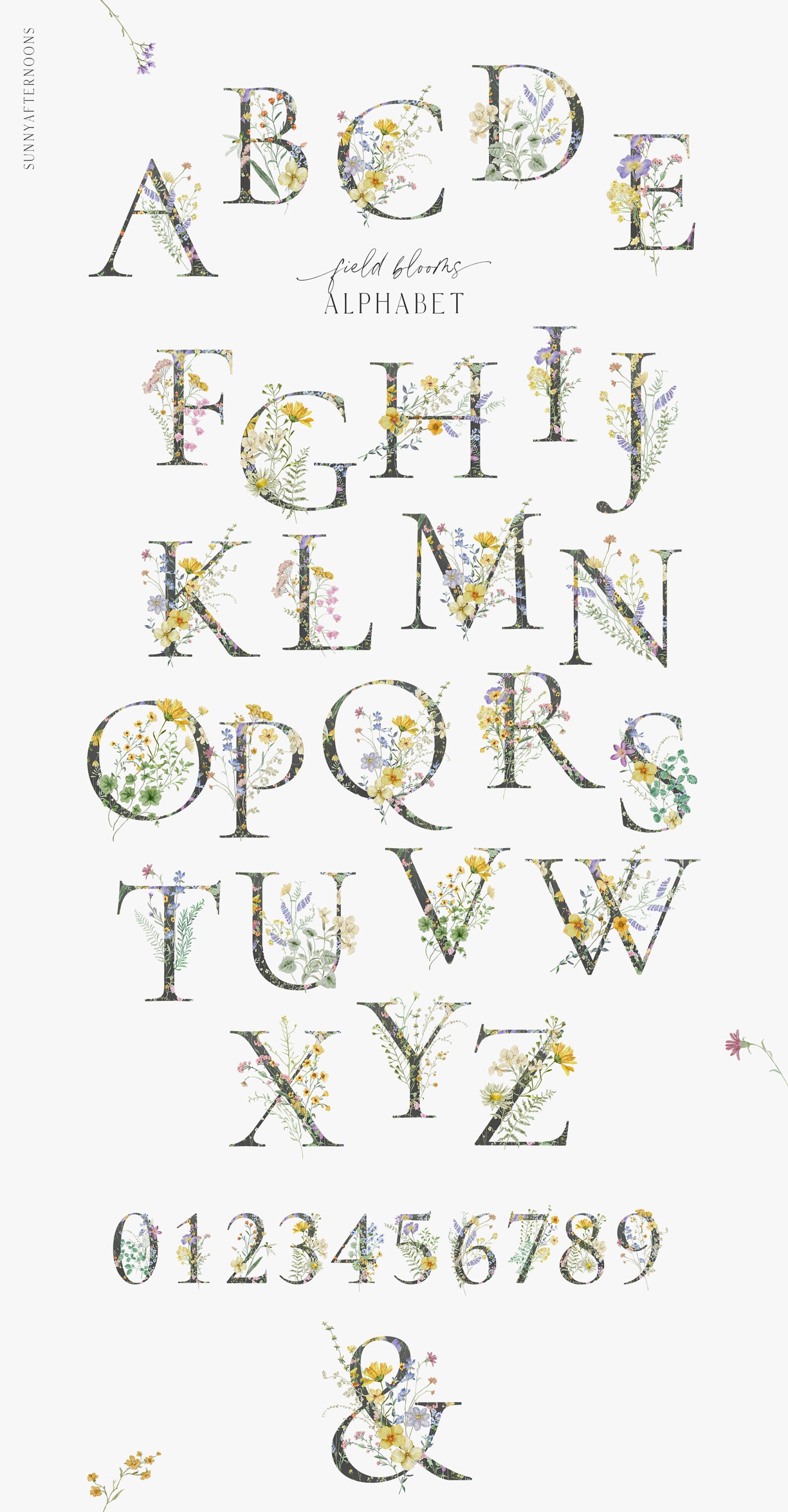 Watercolor Wildflowers Alphabet Clipart, Delicate Pressed Flowers ...