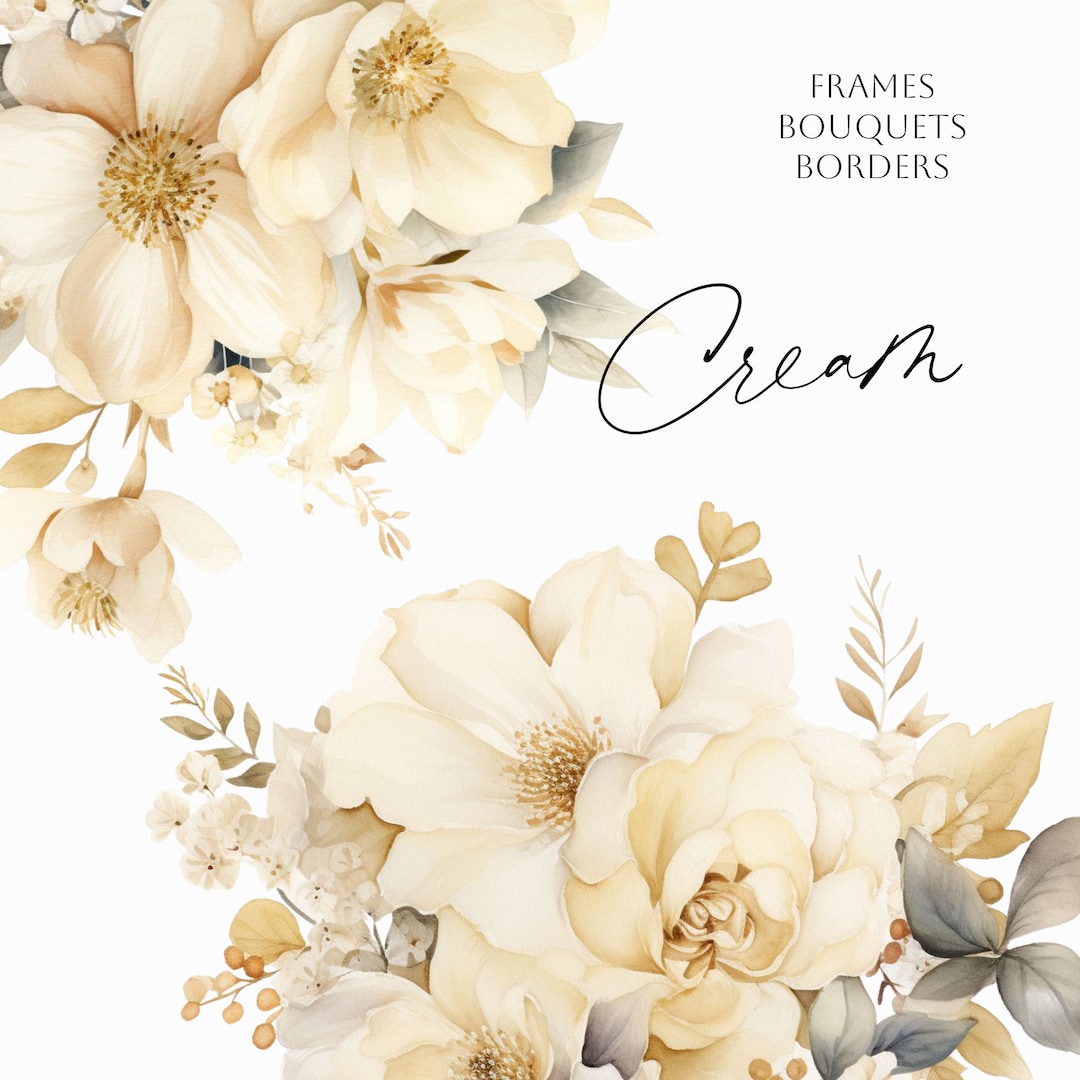 Neutral Watercolor Flowers Clipart - Cream Rose Flowers PNG - Delicate ...