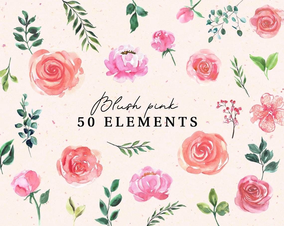 Blush Pink Roses Floral Watercolor Clipart Separated | Etsy
