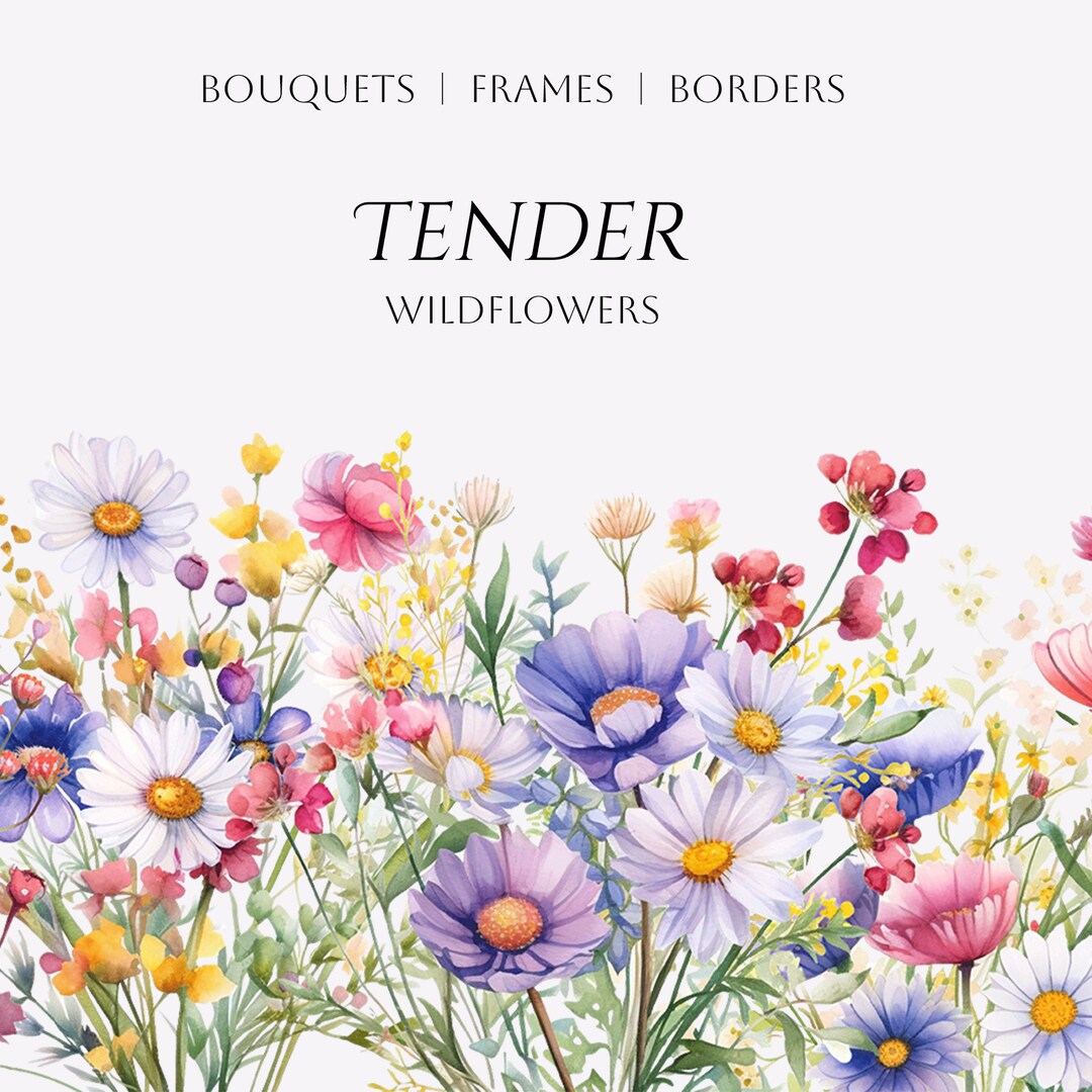 Watercolor Floral Clipart - Meadow Flowers - Watercolor Wildflowers PNG ...