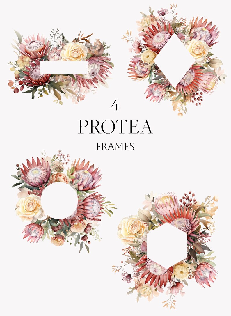 Protea Watercolor Flowers Clipart - Floral Wedding Invitation - Autumn ...