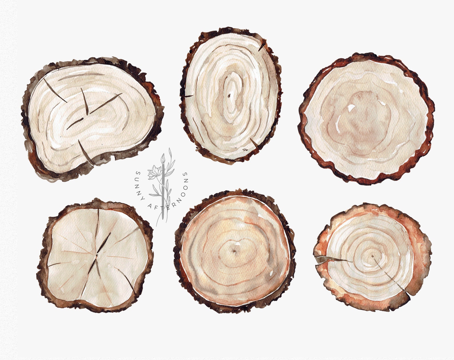 Wood Slices Watercolor Clipart Wooden Frames Forest Decor - Etsy UK
