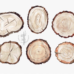 Wood Slices Watercolor Clipart, Wooden Frames, Forest Decor, Rustic ...