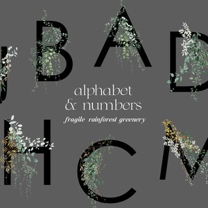 Watercolor Greenery Clipart, Delicate Foliage Letters, Wild Rainforest ...