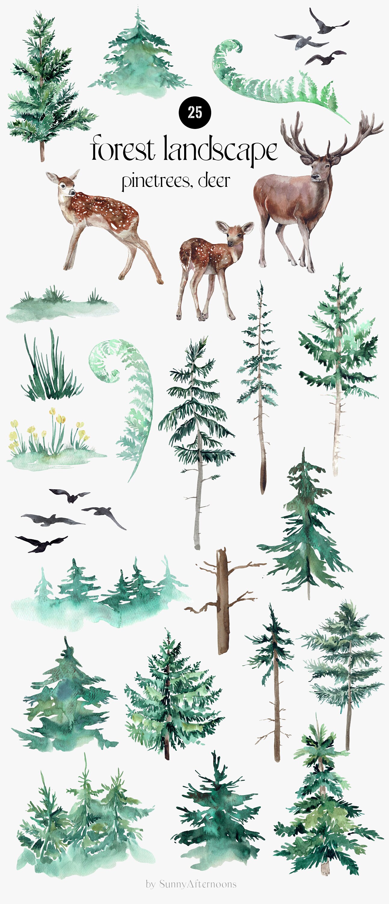 Watercolor Forest Trees Clipart Forest Animals Elements Pine - Etsy