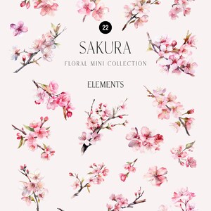 Sakura Watercolor Floral Clipart, Delicate Cherry Blossom Elements ...