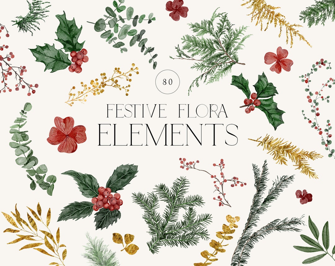 Festive Flora Elements Watercolor Clipart, Christmas Florals Foliage ...