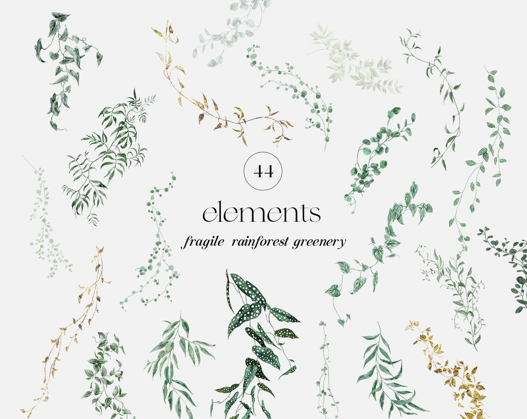Watercolor Greenery Clipart, Delicate Foliage, Wild Rainforest, Soft ...