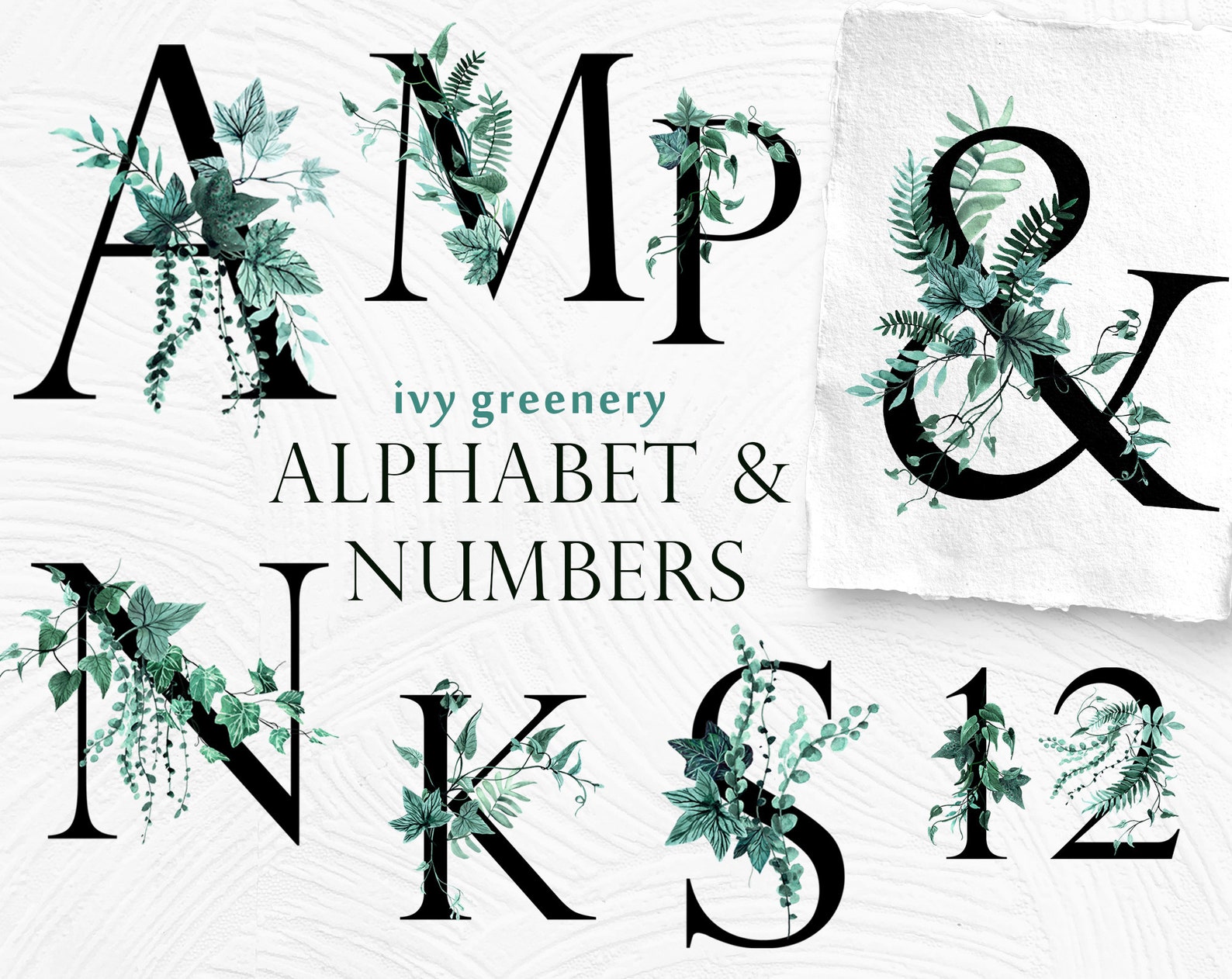 Ivy Greenery Letters and Numbers Watercolor Clipart Ivy - Etsy