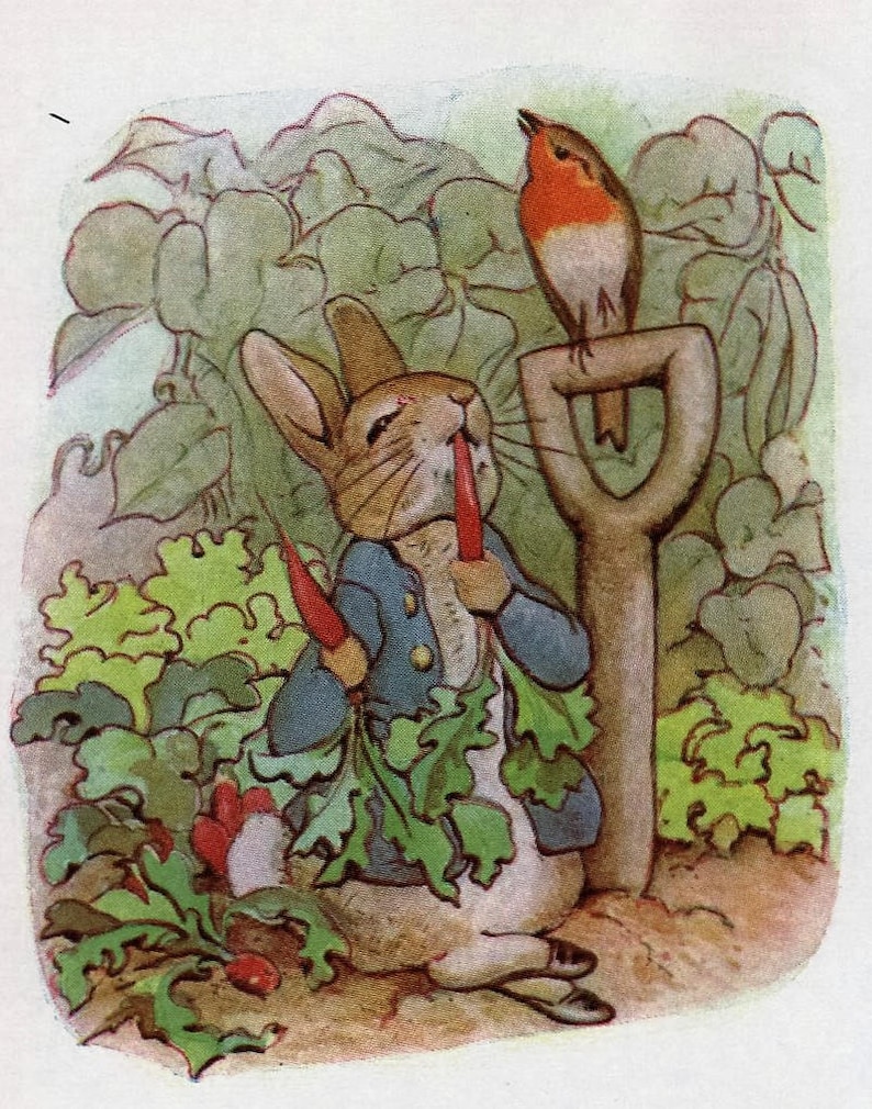 Peter Rabbit & the robin Archivo de impresión Patrón de - Etsy España