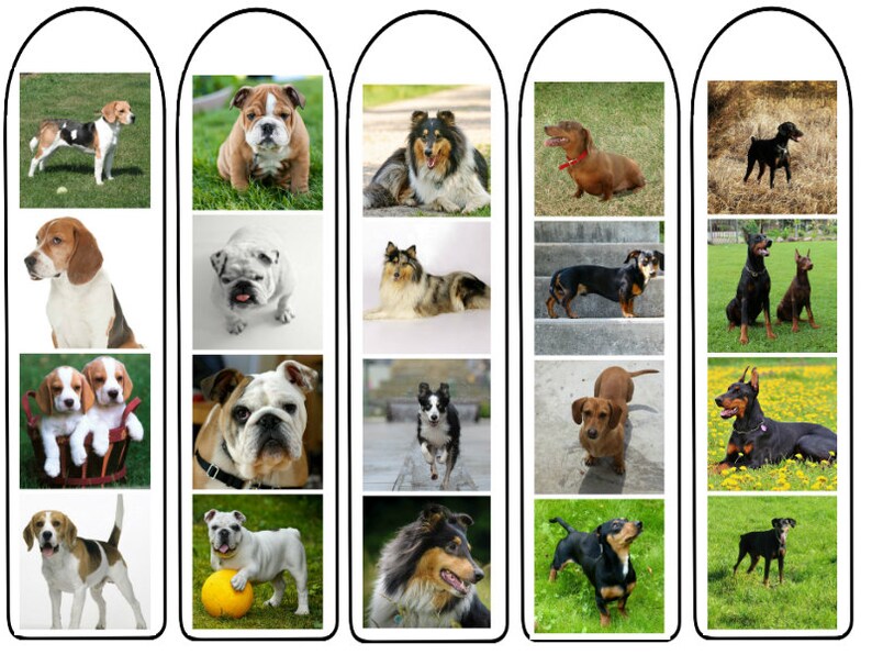 Dog Breeds Bookmarks Digital Download, Terrier Whippet Poodle Doberman ...