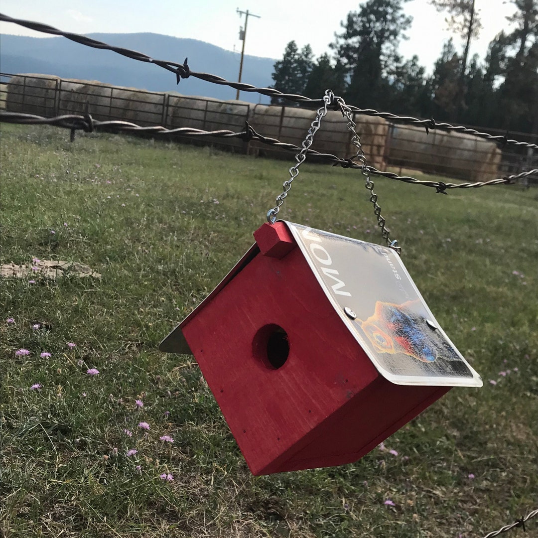 Small Cube Shape Bird House With Real Car License Place Roof Red ...