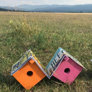 Small Cube Shape Bird House With Real Car License Plate Roof Magenta ...