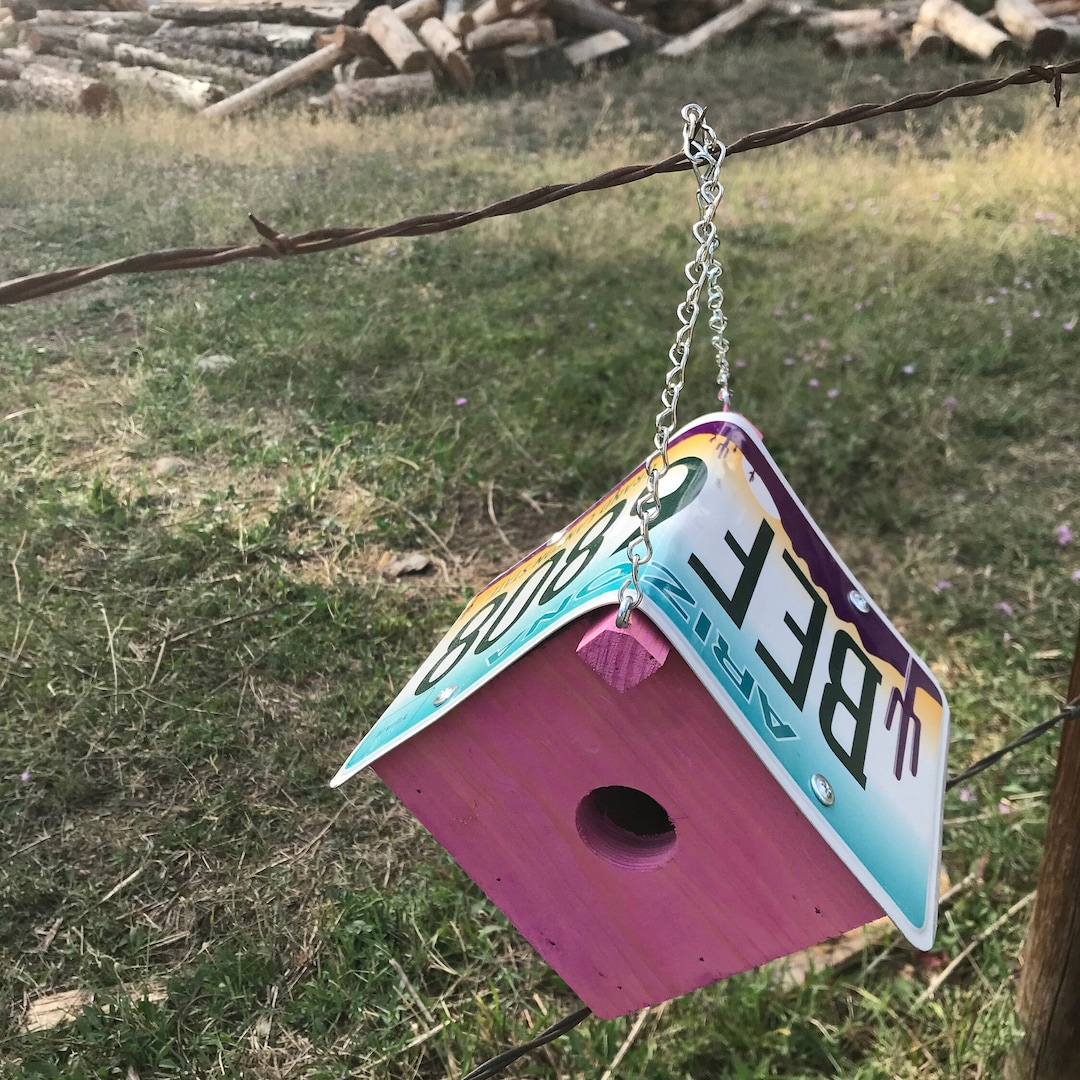 Small Cube Shape Bird House With Real Car License Plate Roof Magenta ...