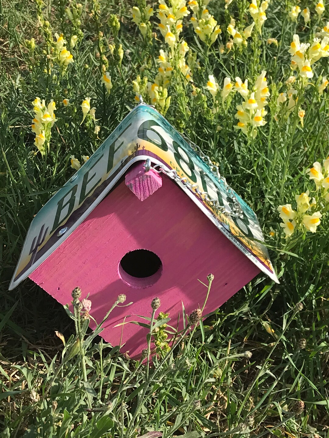 Small Cube Shape Bird House With Real Car License Plate Roof Magenta ...