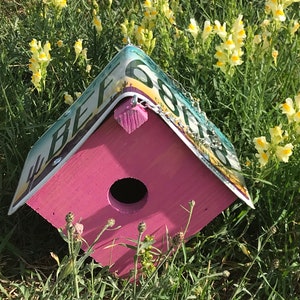 Small Cube Shape Bird House With Real Car License Plate Roof Magenta ...