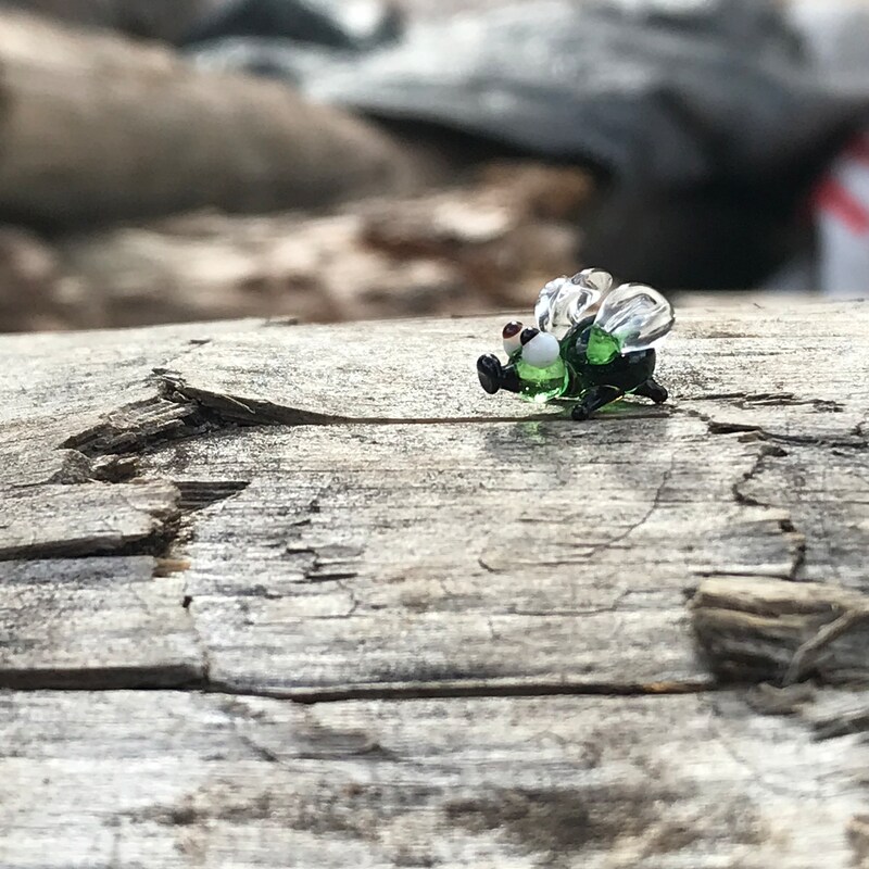 Glass Insects - Etsy