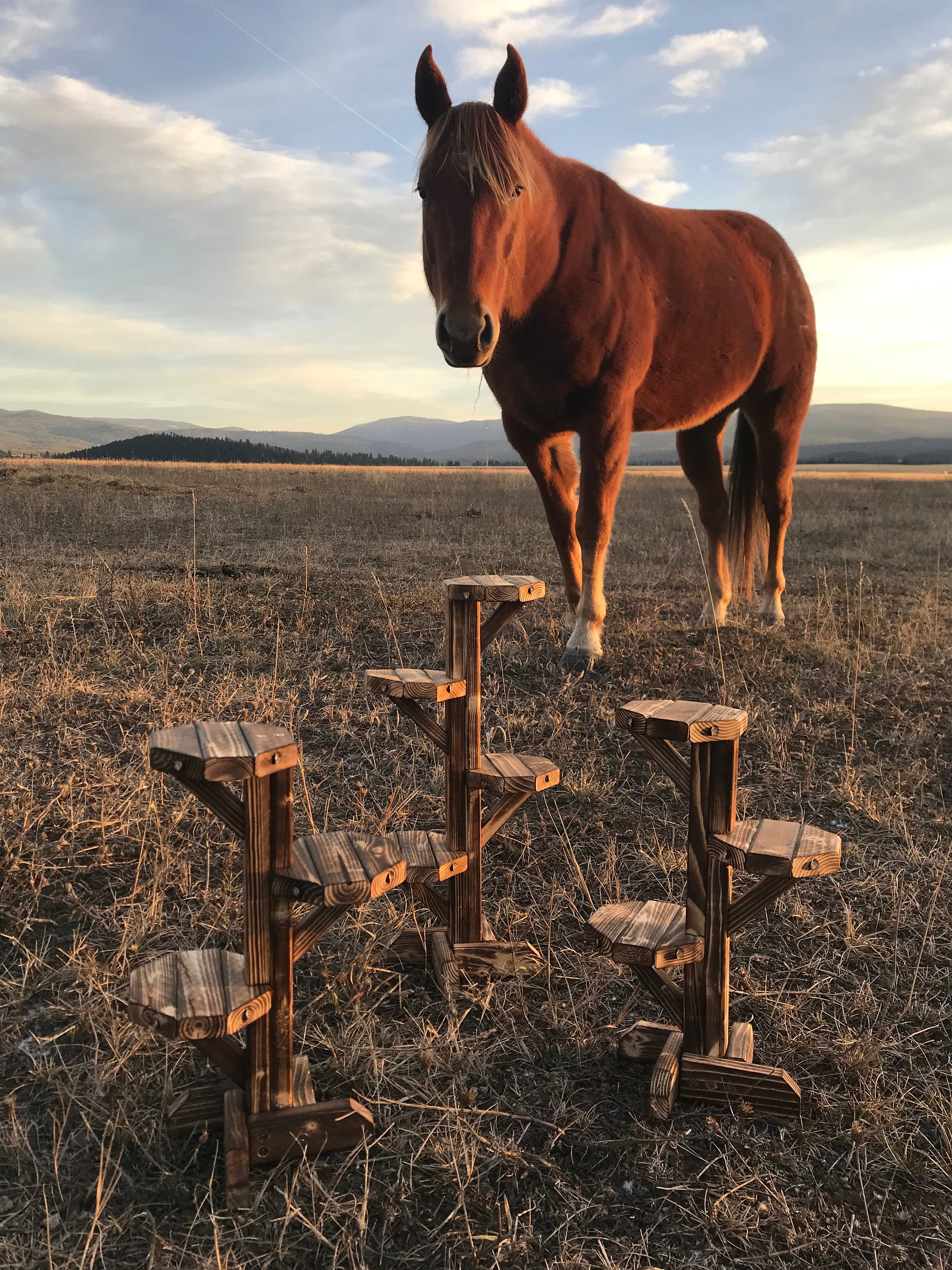 3 Tier Rustic Plant Stand Multi-level Wooden Window Plants Holder Torch ...