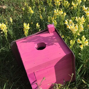 Small Cube Shape Bird House With Real Car License Plate Roof Magenta ...
