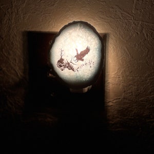 Brazilian Agate Night Light Wall Plug in Bedroom/entryway Tiny Lamp ...