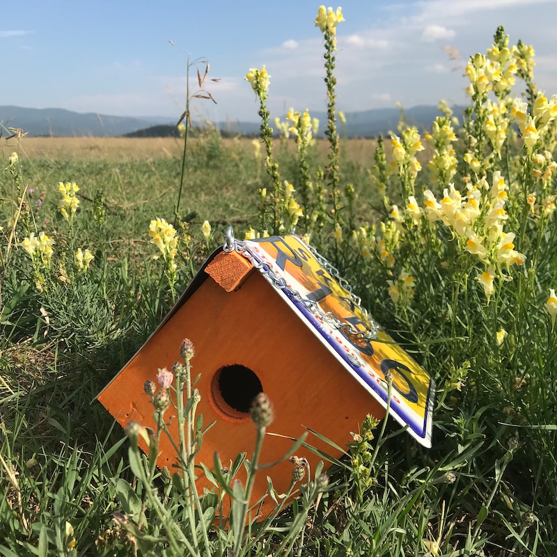 Unusual Bird Houses - Etsy