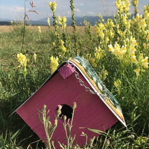 Small Cube Shape Bird House With Real Car License Plate Roof Magenta ...